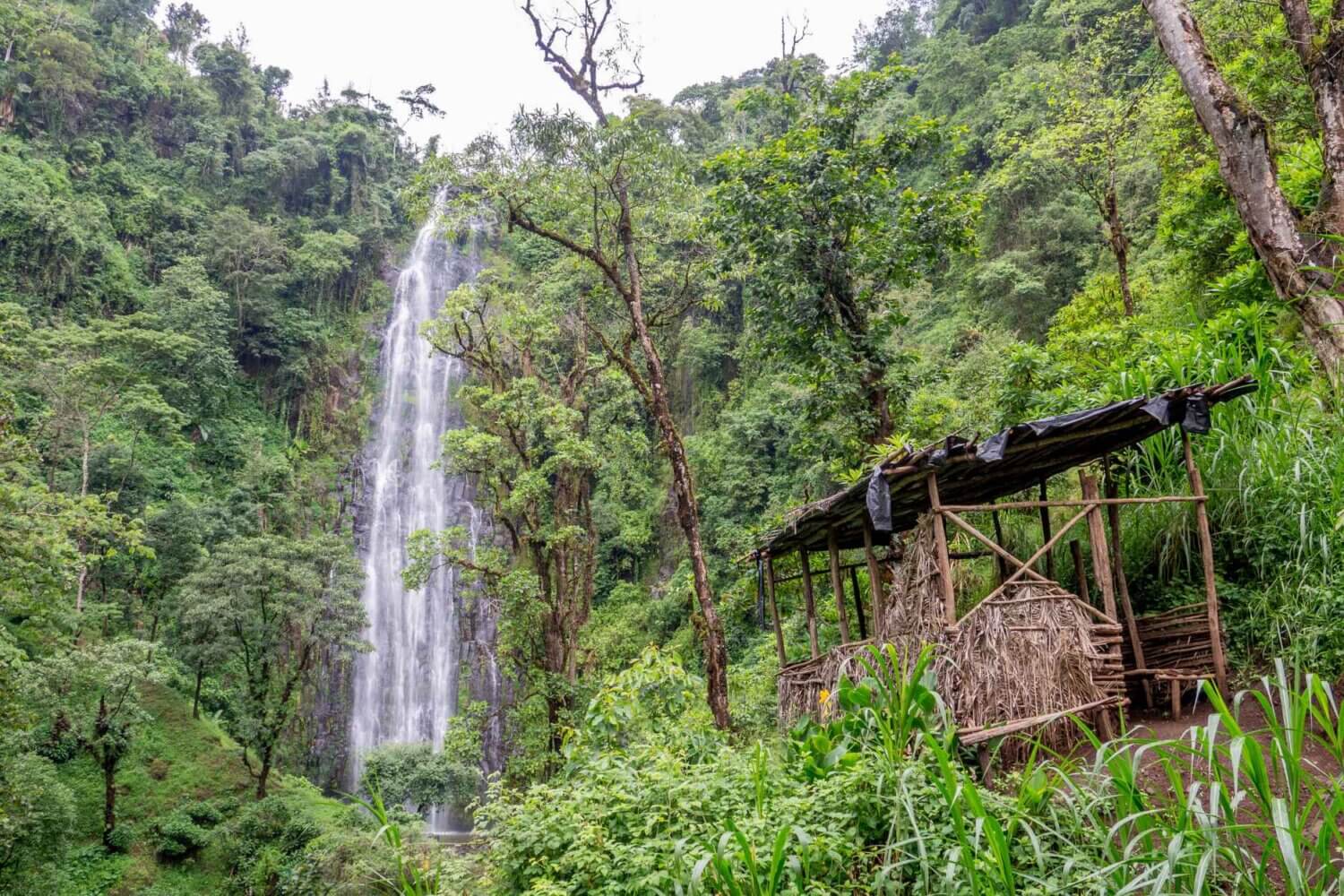 Materuni Waterfall & Coffee Tour Day Trip - Nadumu Maasai Women's ...